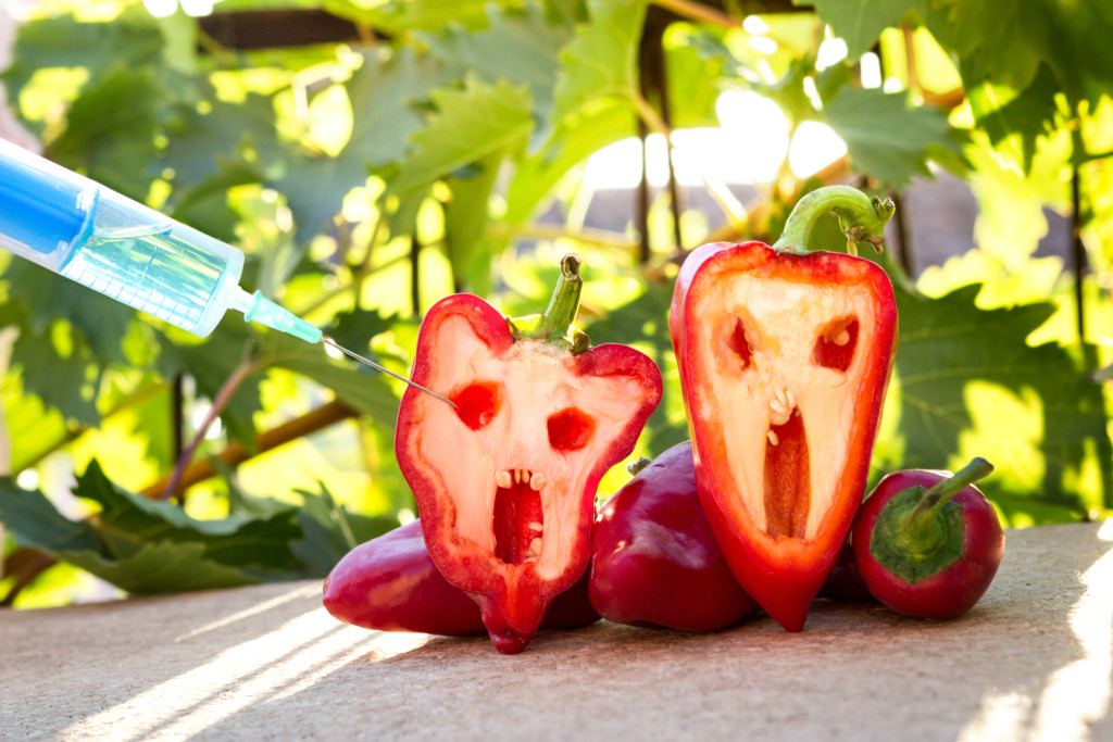 GMO Alert: 5 Big Killers of Our Modern Food Landscape