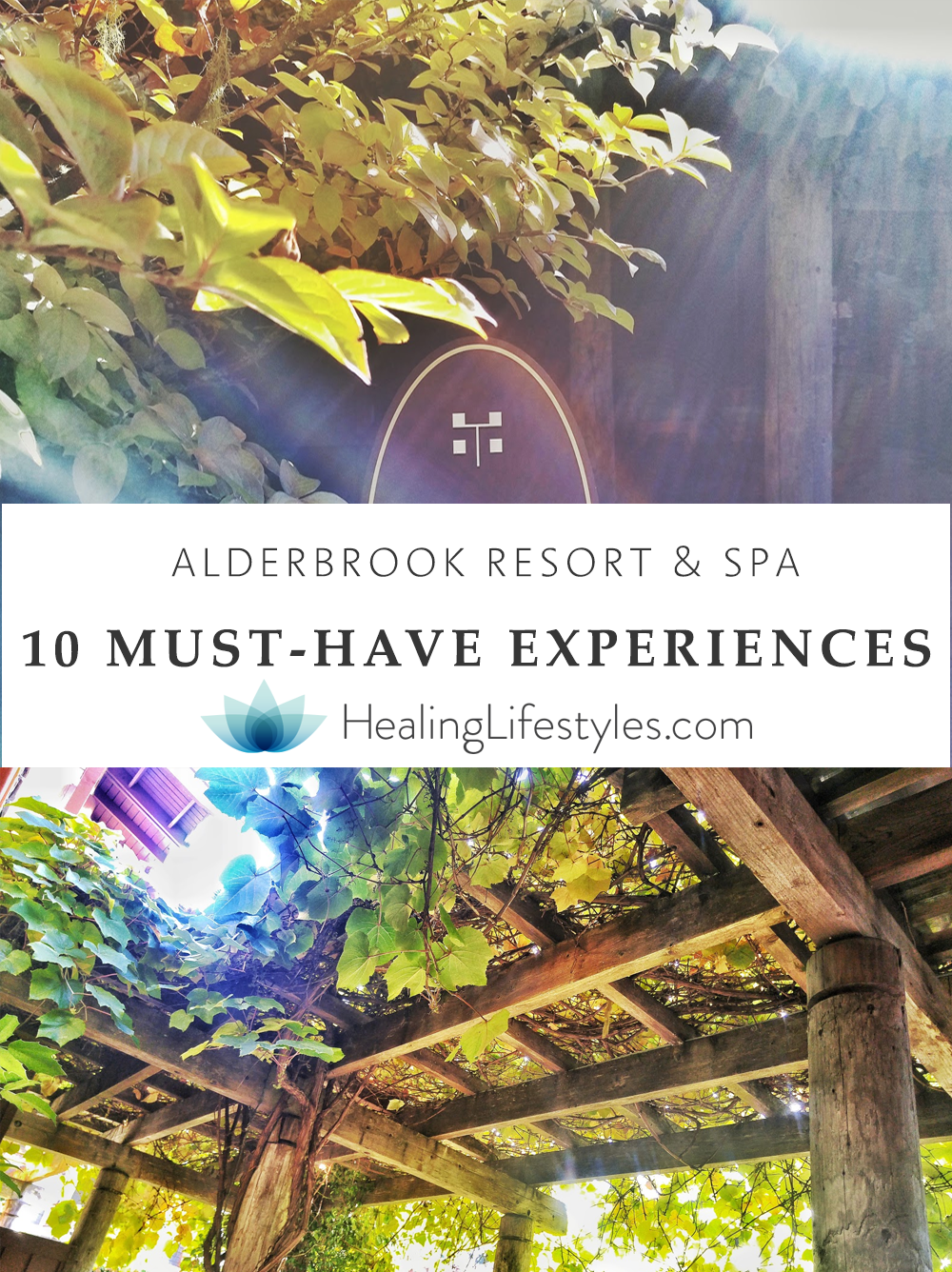 Alderbrook Resort: 10 Must-Try Experiences In a Pacific Northwest Nook